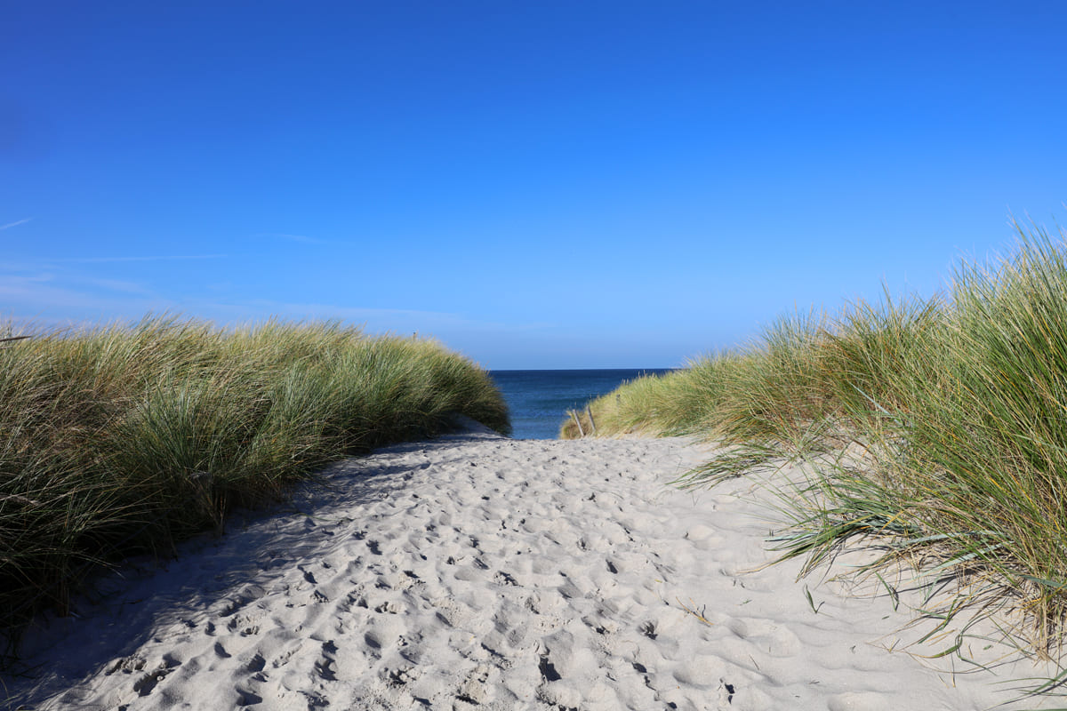 Ahrenshoop Strandübergang 1