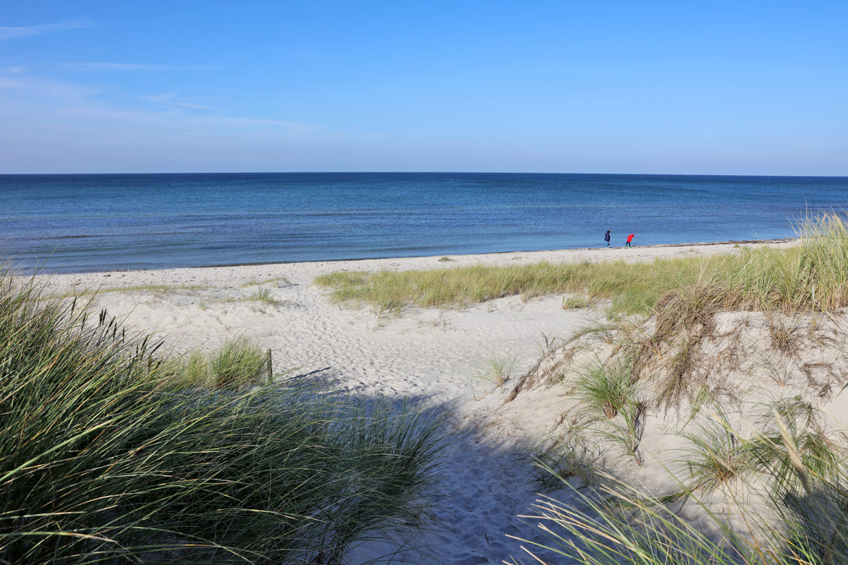 Darss Weststrand Parken